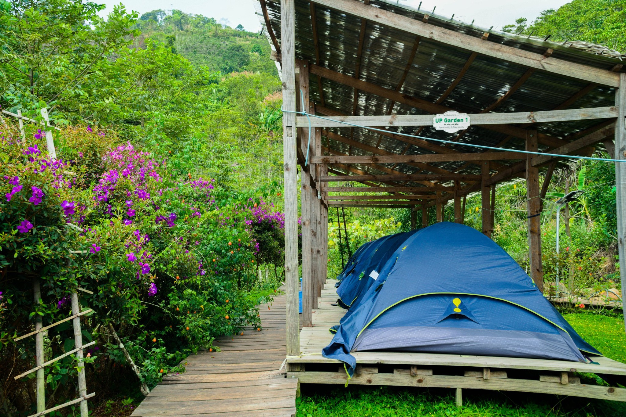Tận Hưởng Trải Nghiệm Glamping Tại UP Base Camp - Bảo Lâm Cloudy ...