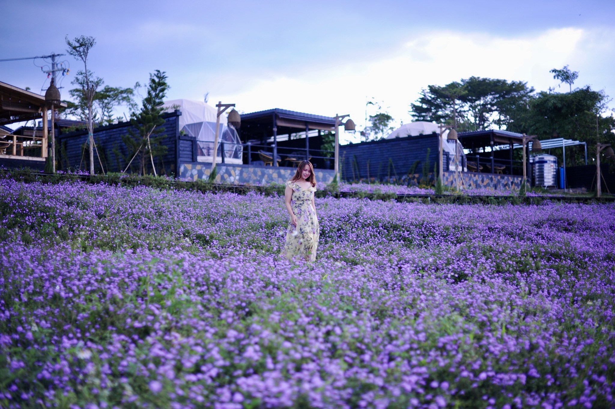 Olala Glamping - Bảo Lộc GLAMPTRIP