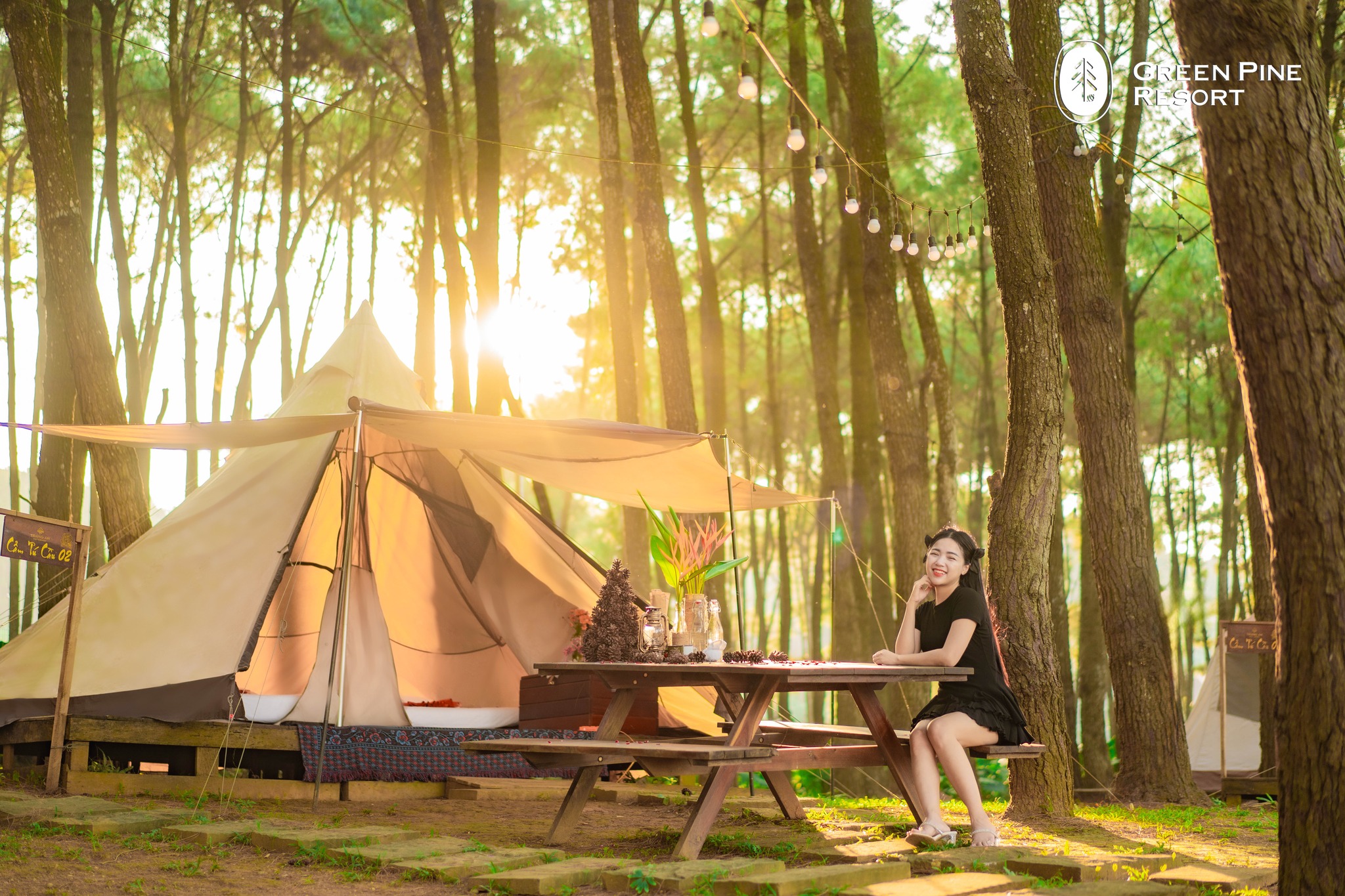 Tận Hưởng Trải Nghiệm Glamping Tại Green Pine Resort | GLAMPTRIP