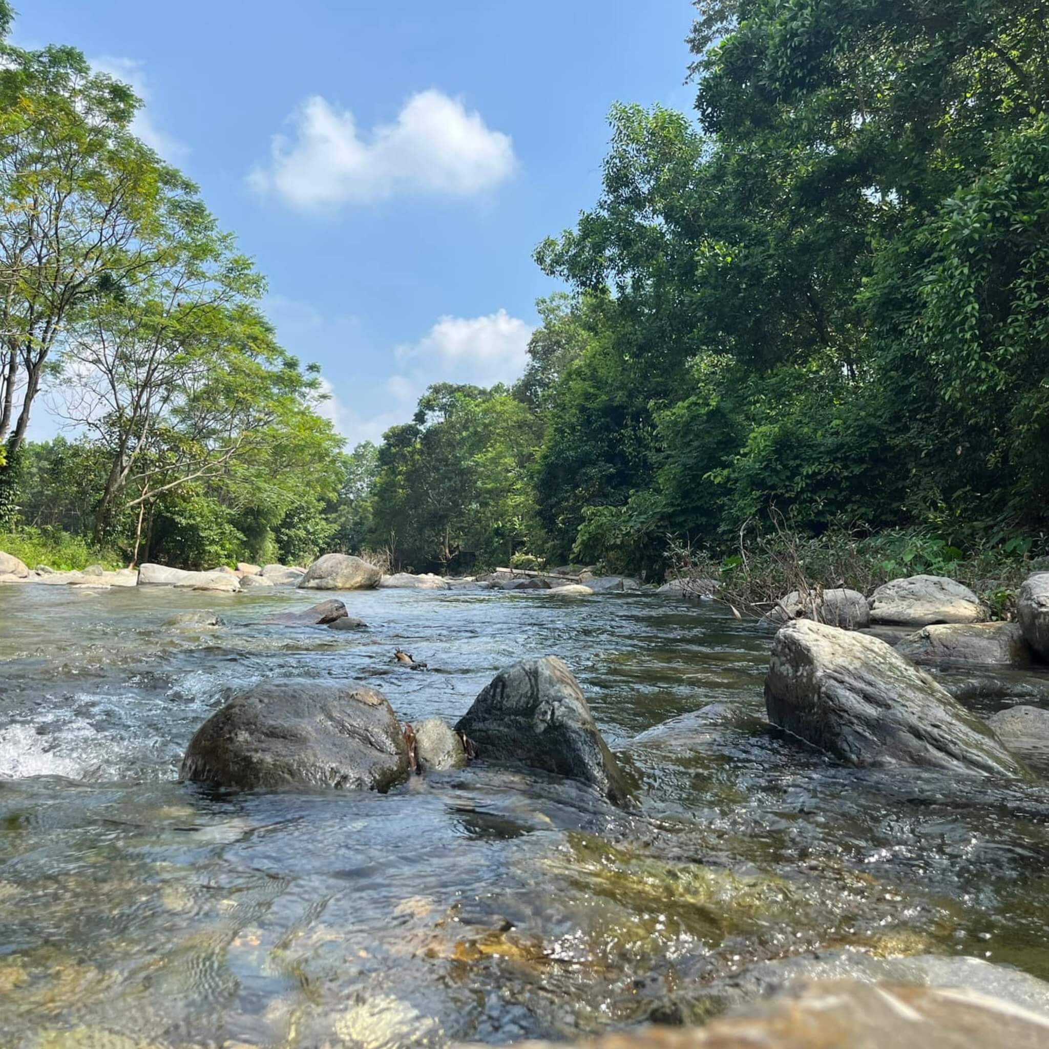 Tận Hưởng Trải Nghiệm Glamping Tại Voi Valley | GLAMPTRIP