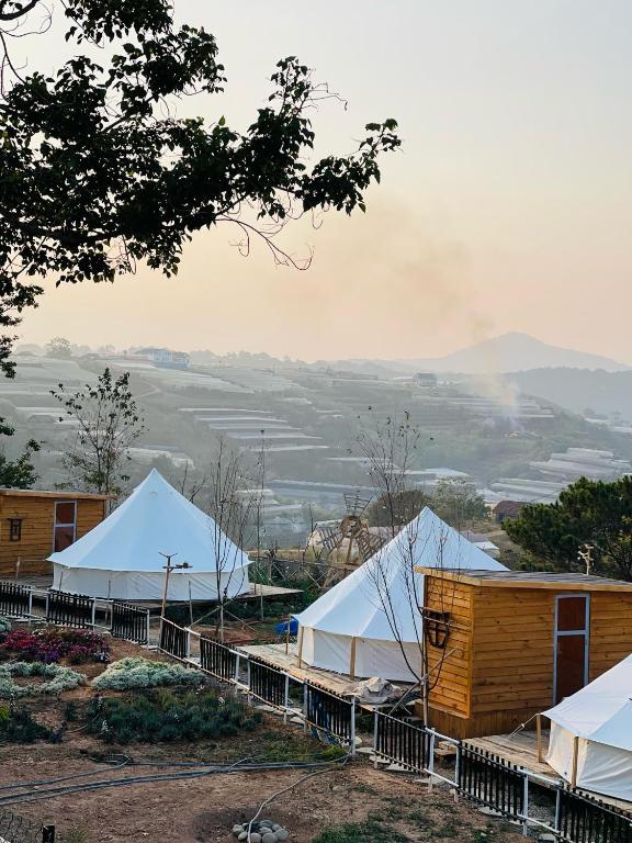Tận Hưởng Trải Nghiệm Glamping Tại Dalart Glamping & Coffee | GLAMPTRIP