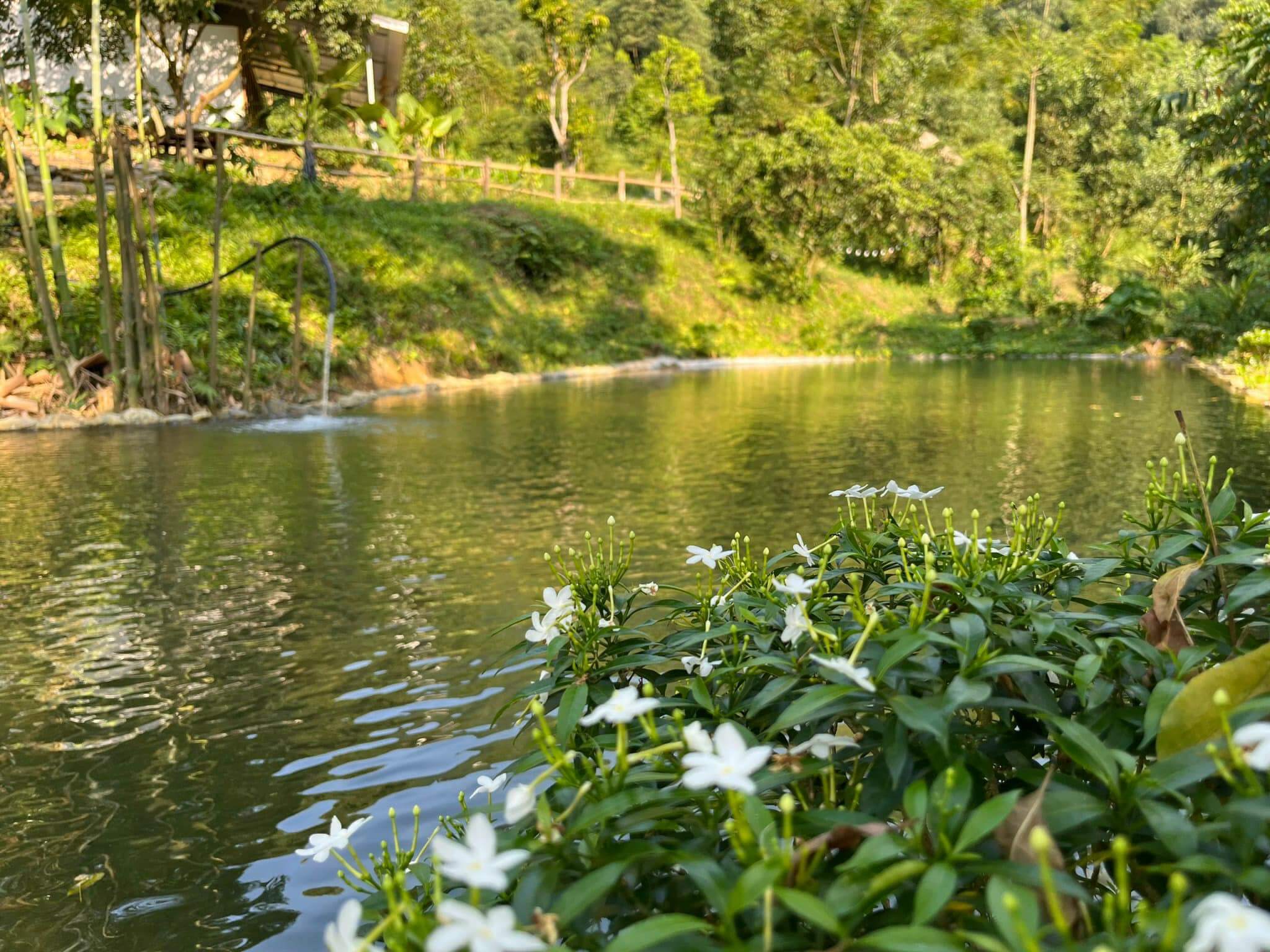 Tận Hưởng Trải Nghiệm Glamping Tại Voi Valley | GLAMPTRIP