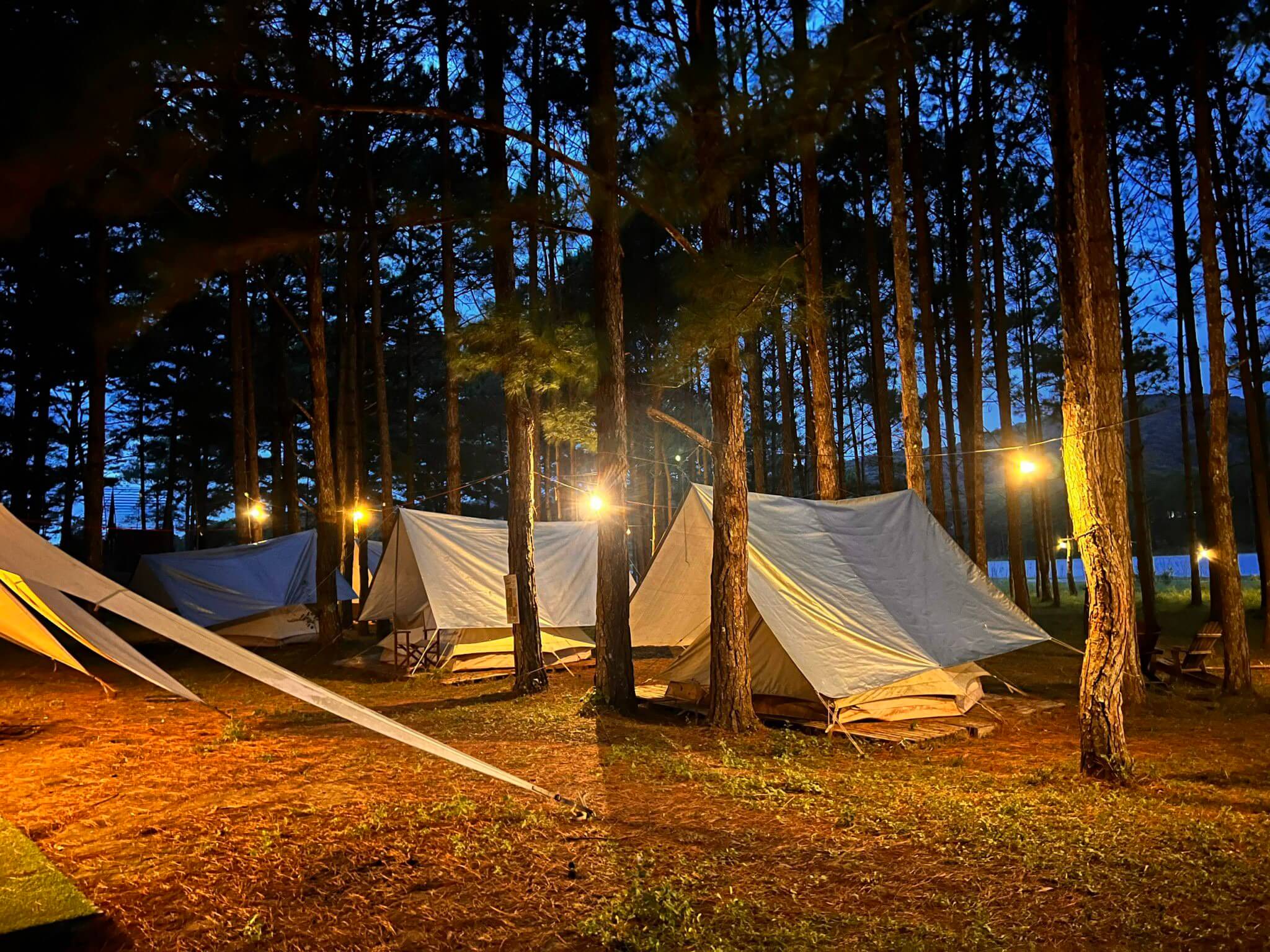 Tận Hưởng Trải Nghiệm Glamping Tại Lux Camp Đà Lạt | GLAMPTRIP