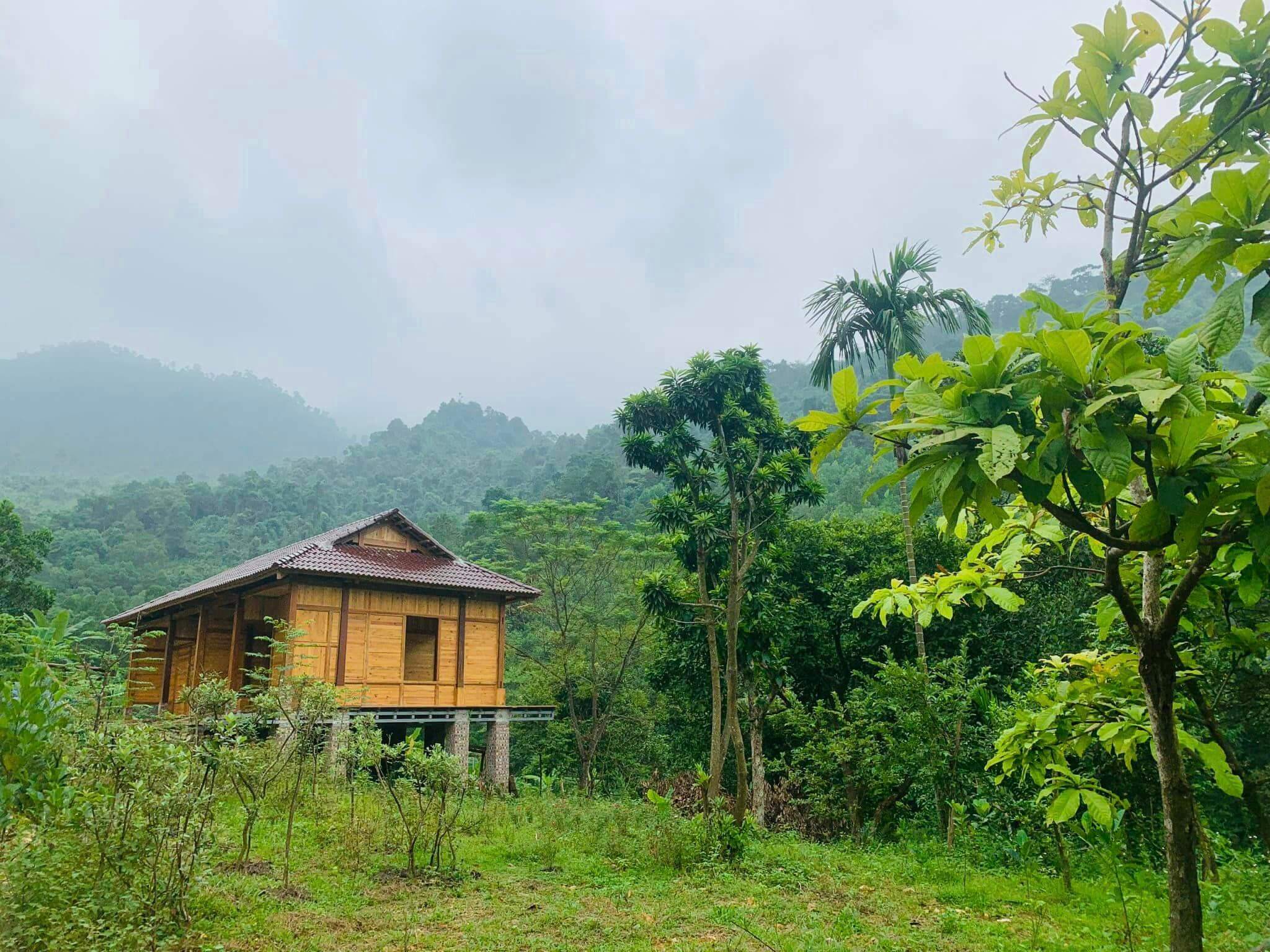 Tận Hưởng Trải Nghiệm Glamping Tại Voi Valley | GLAMPTRIP