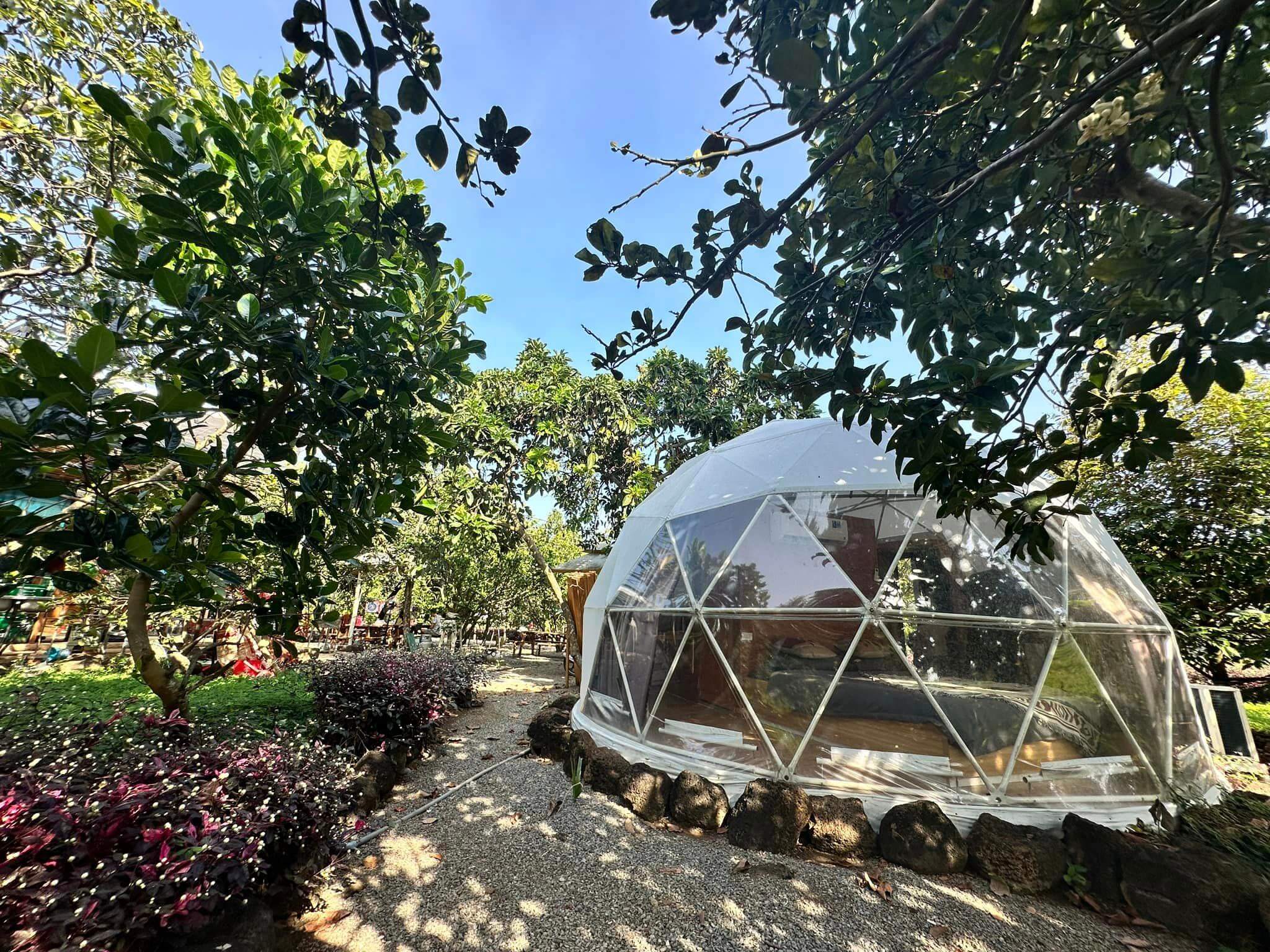 Top 4 địa điểm glamping được giới trẻ săn đón nhất hiện nay