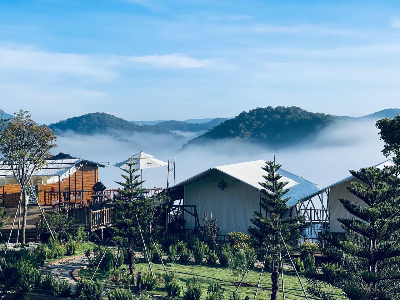 Tận Hưởng Trải Nghiệm Glamping Tại Dalart Glamping & Coffee | GLAMPTRIP