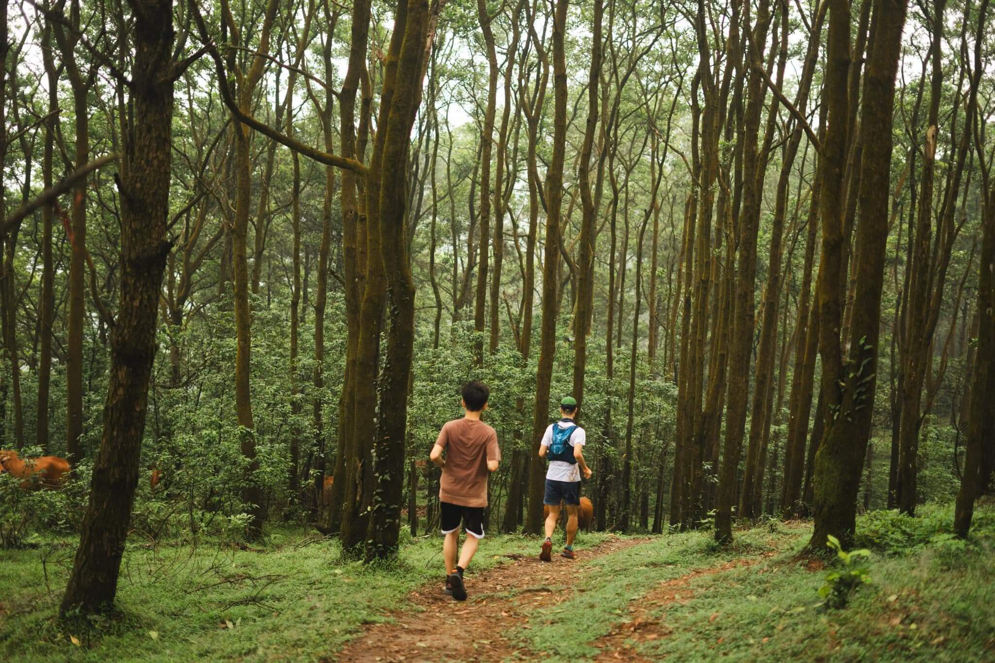 Tận Hưởng Trải Nghiệm Glamping Tại Trang Thiều Camping | GLAMPTRIP