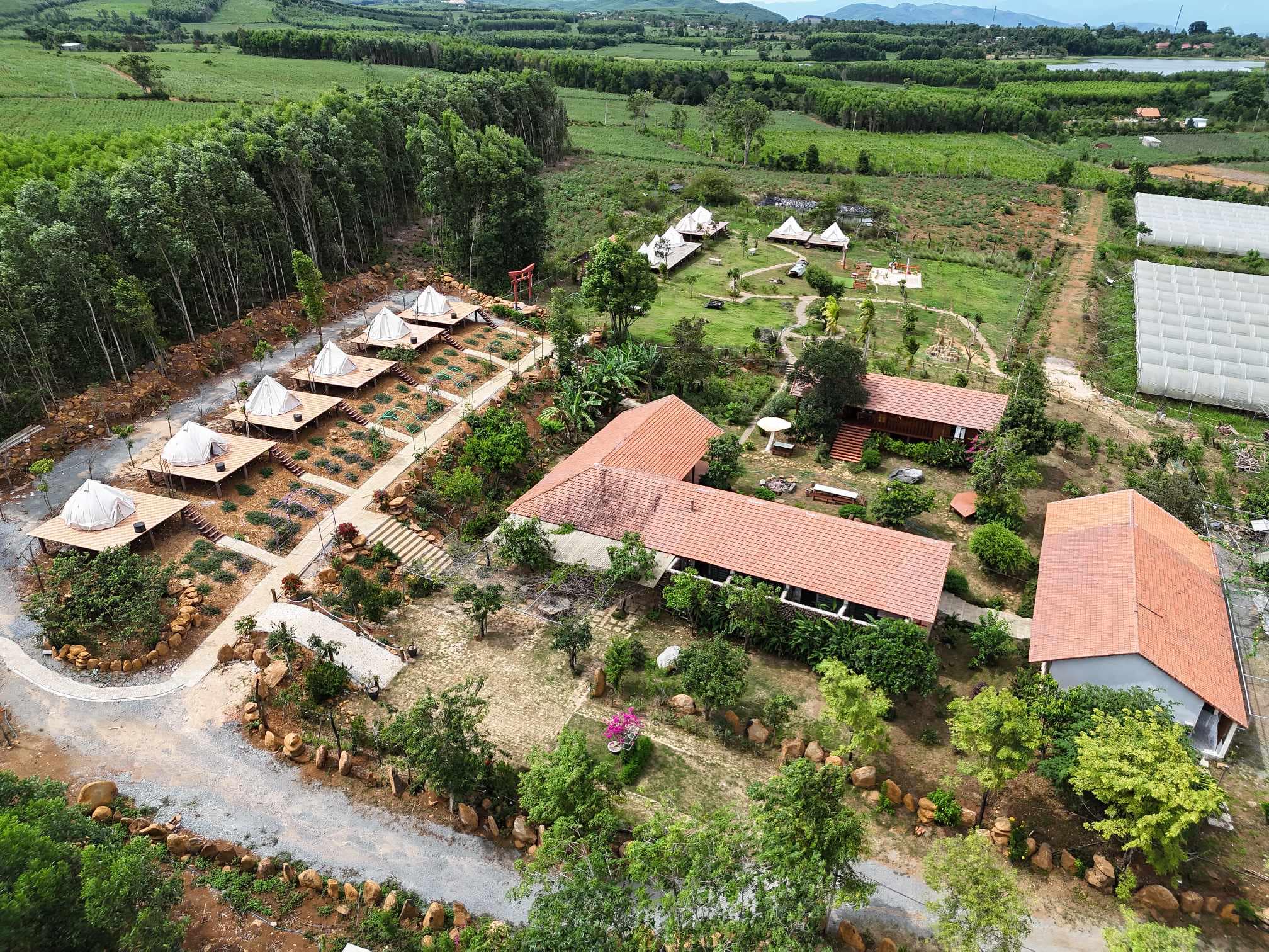 Tận Hưởng Trải Nghiệm Glamping Tại TODO Farm - Organic Farming ...