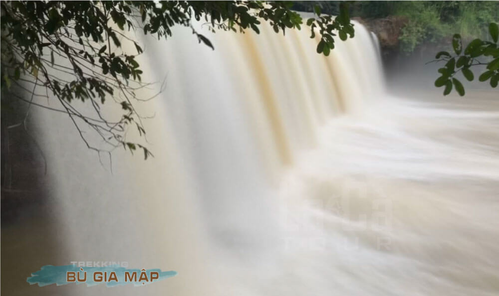 Tận Hưởng Trải Nghiệm Glamping Tại Tour Trekking Bù Gia Mập | GLAMPTRIP