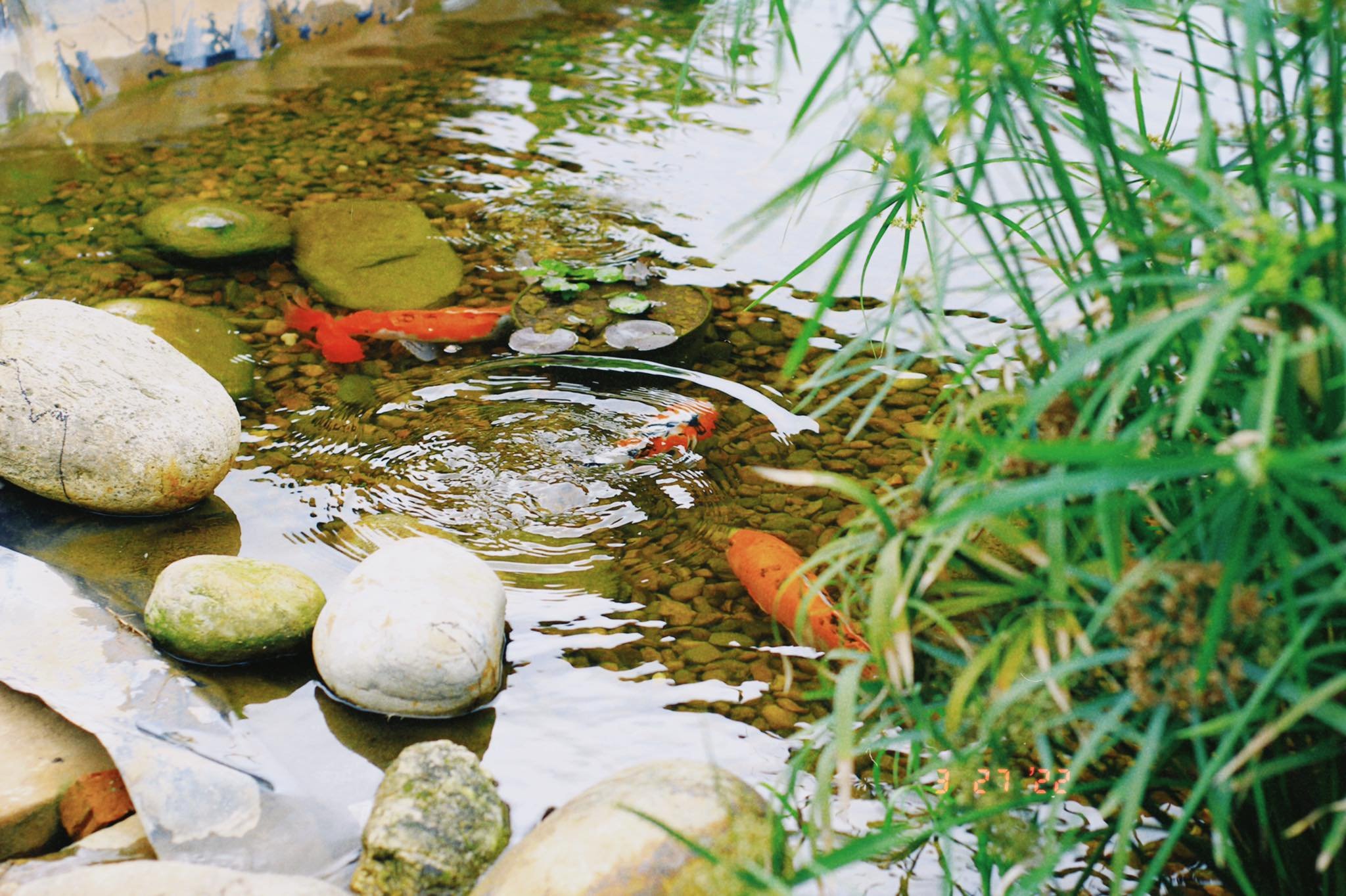Top địa điểm Glamping view sông Hà Nội làm nao lòng du khách