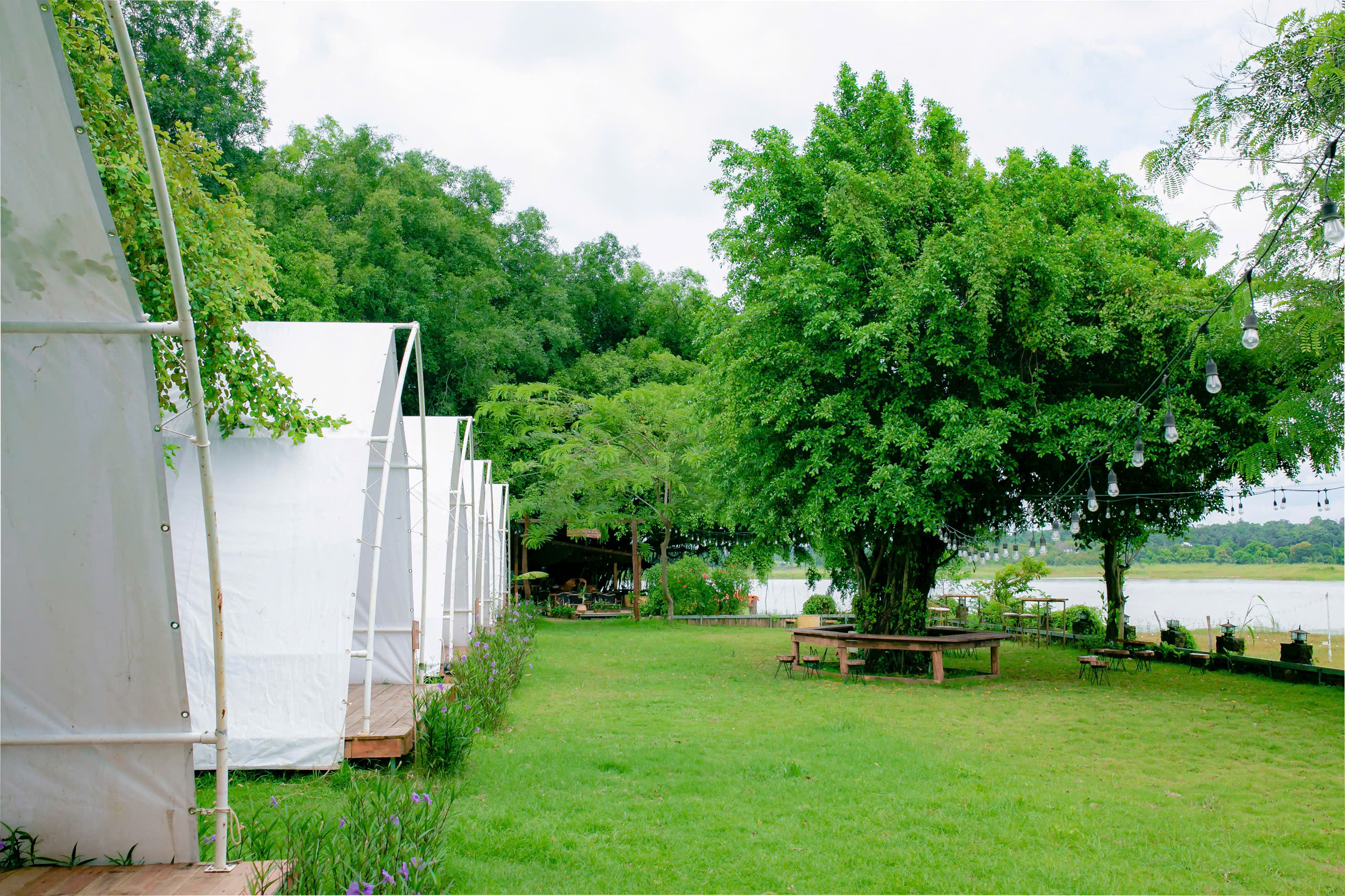 Trải Nghiệm Glamping Tại Napy Garden Glamping Hồ Trị An | GLAMPTRIP