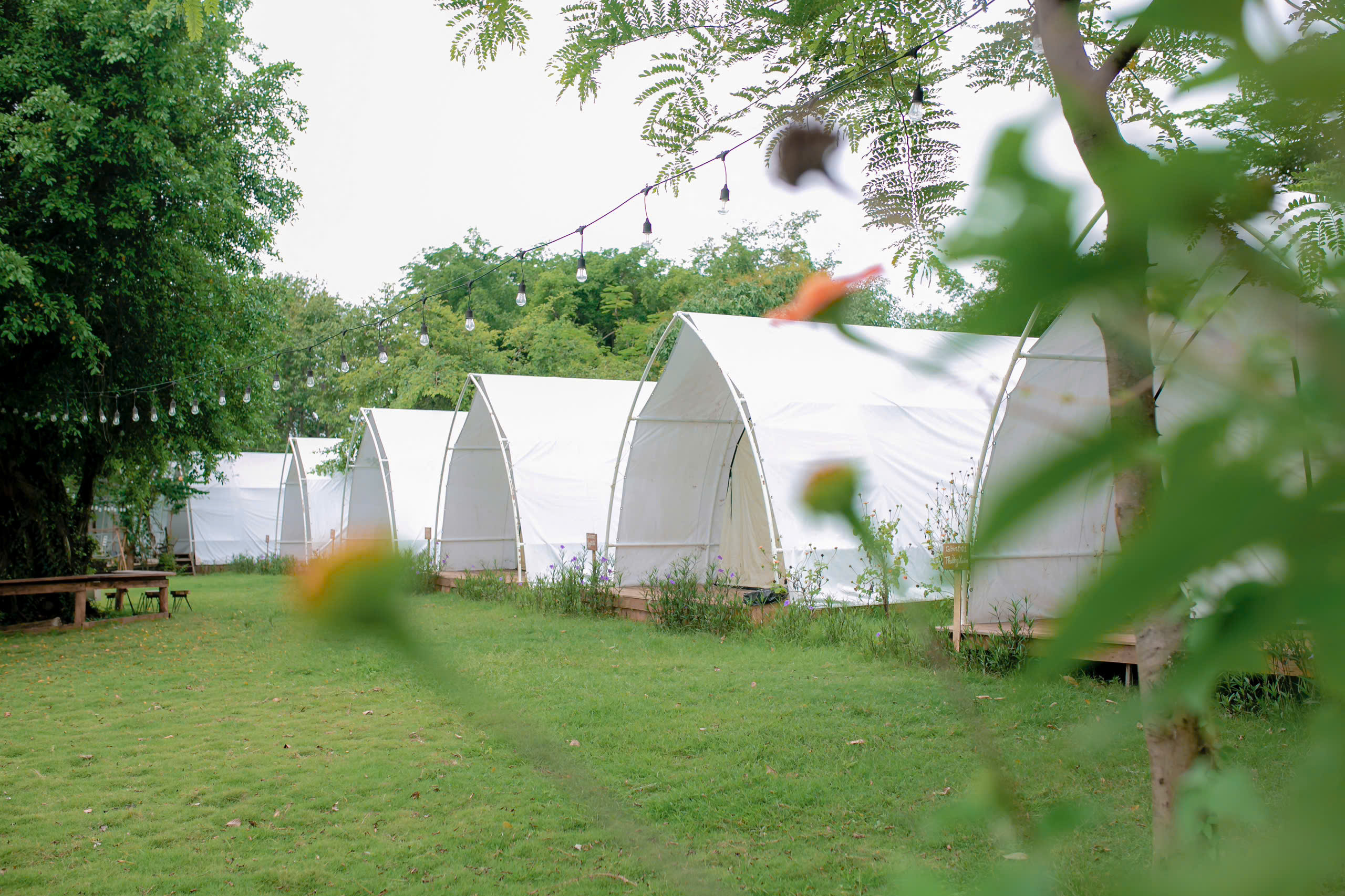 Trải Nghiệm Glamping Tại Napy Garden Glamping Hồ Trị An | GLAMPTRIP